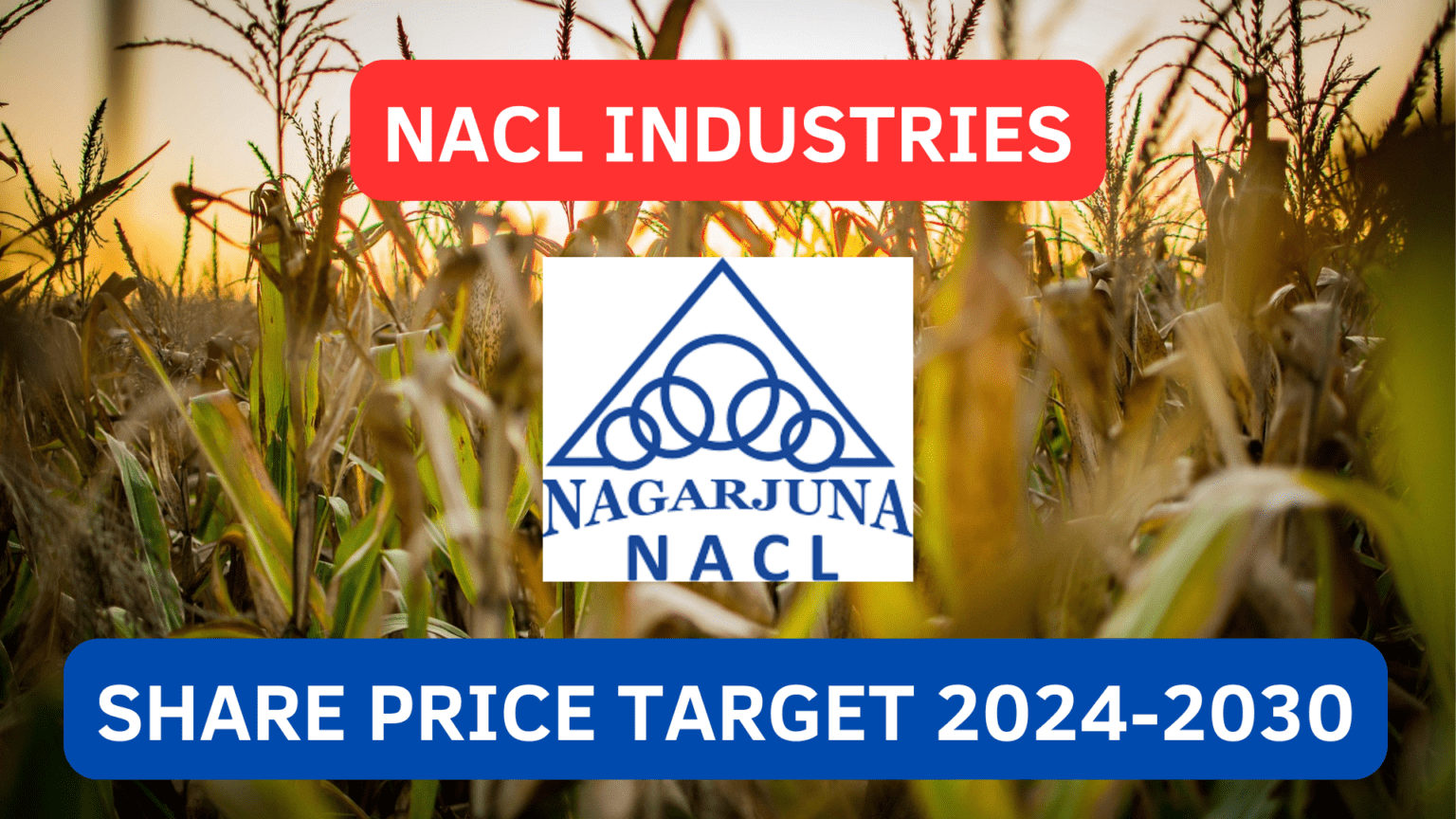 NACL Industries Share Price Target 2025-2030 | NACL Price Forecast ...